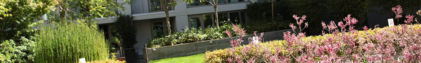 CleanScapes Services - Recology San Francisco