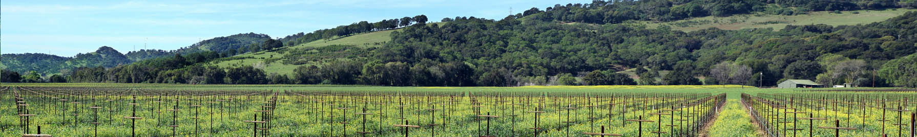Bulky Items - Recology Sonoma Marin