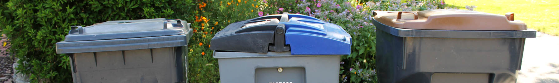 Cart Sizes & Collection Information - Recology Davis