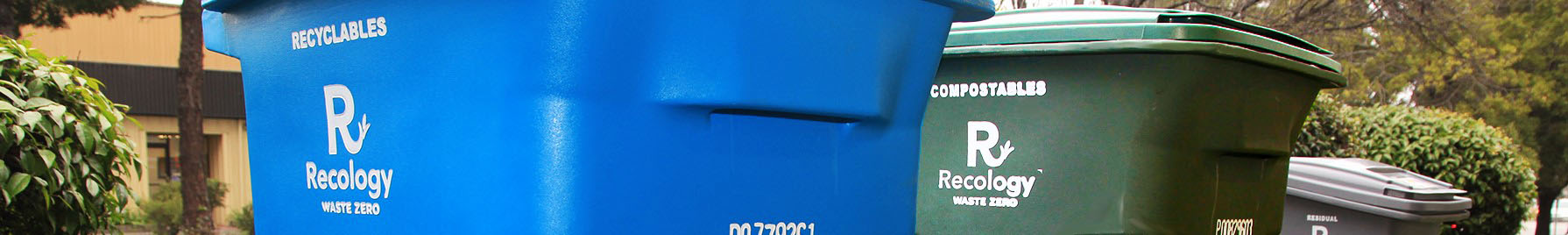 Compost, Recycle, & Trash Sorting Guides | Recology Sonoma Marin Sonoma ...