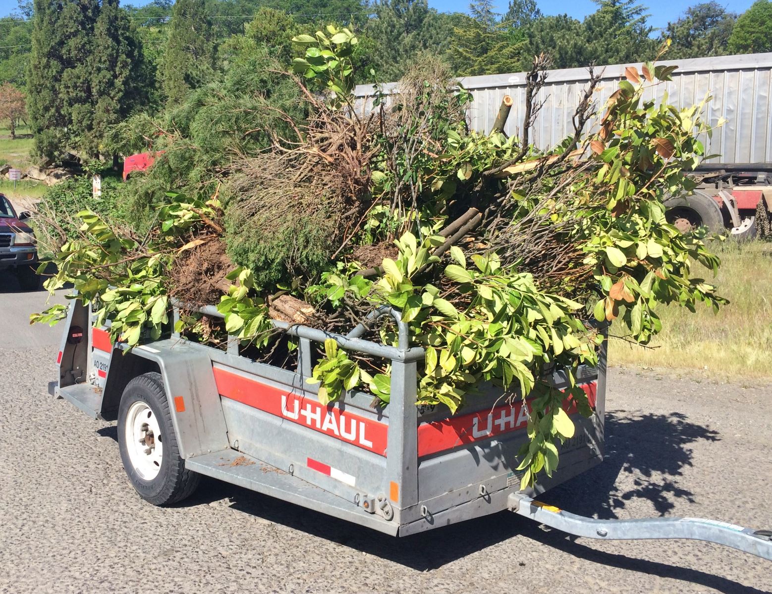 2022 Green Debris Drop-Off Day - Recology
