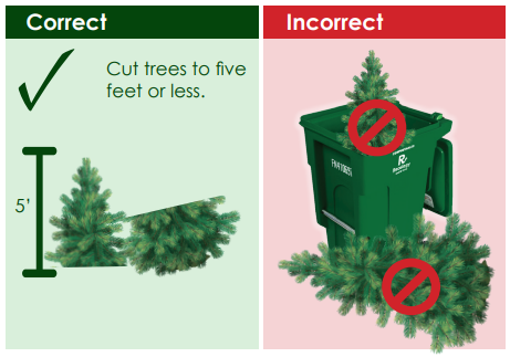 Holiday Tree Recycling - Recology
