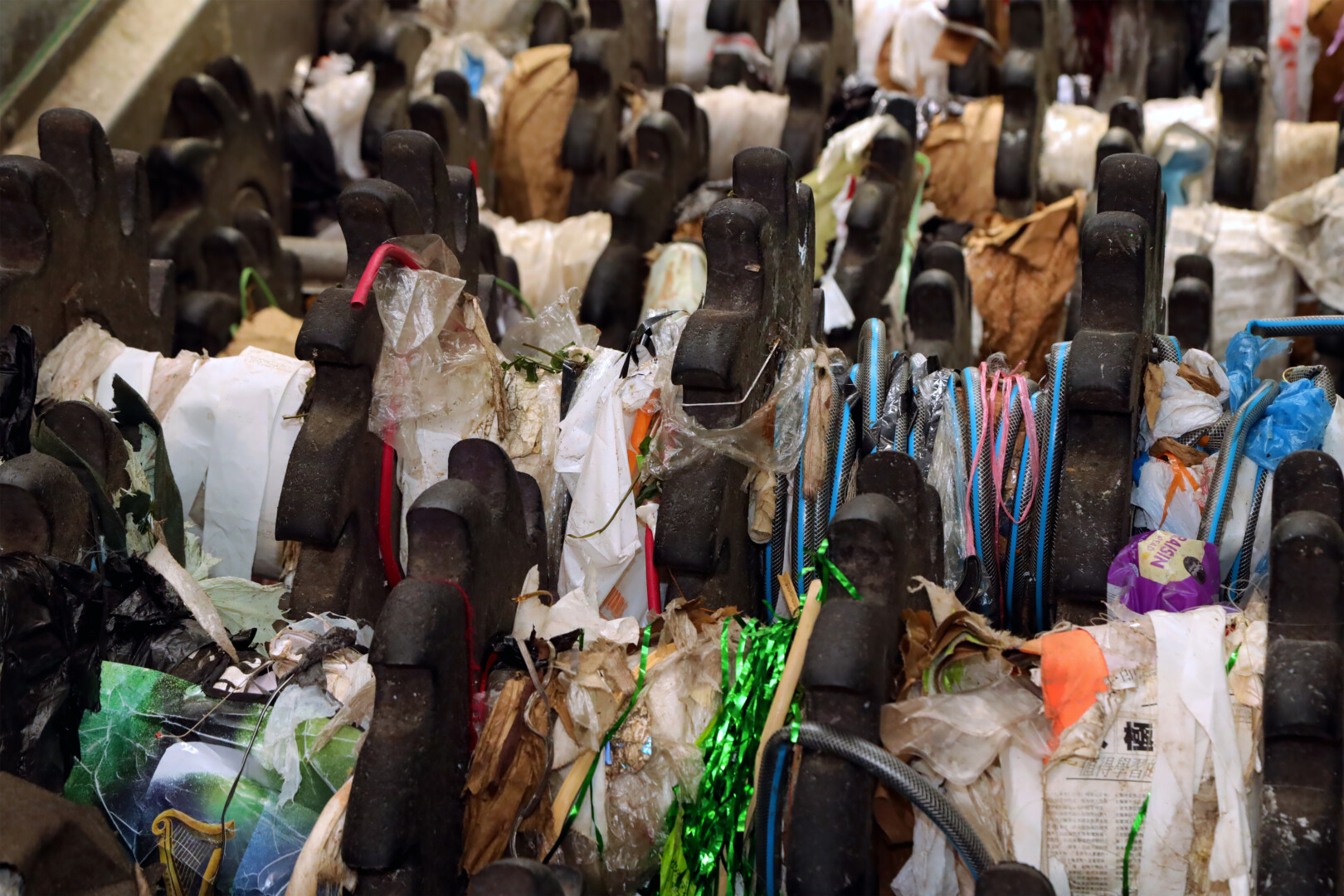 The Truth About Recycling: 7 Questions with the Recology Head of ...