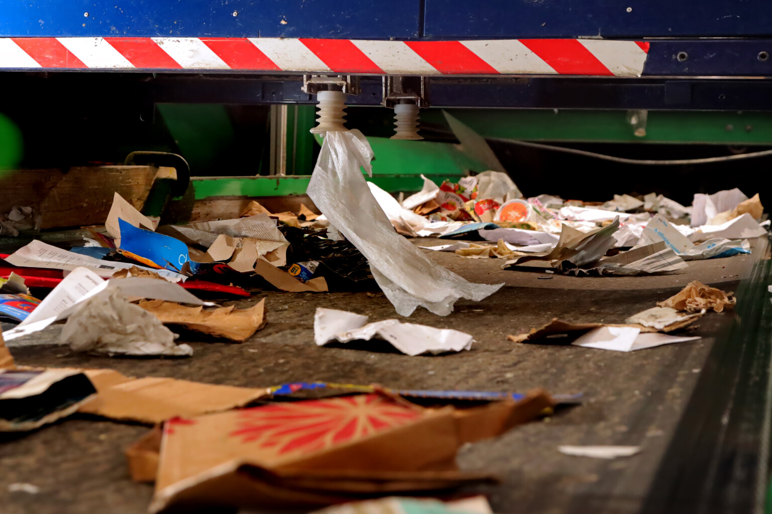 The Truth About Recycling: 7 Questions with the Recology Head of ...